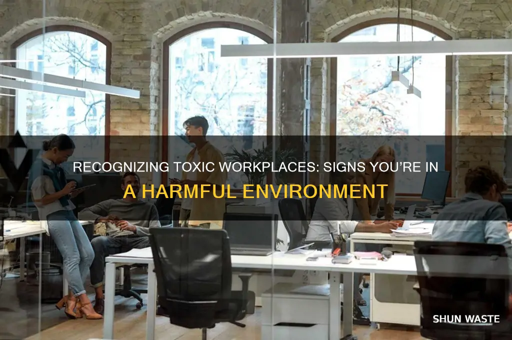Recognizing Toxic Workplaces: Signs You’Re In A Harmful Environment ...