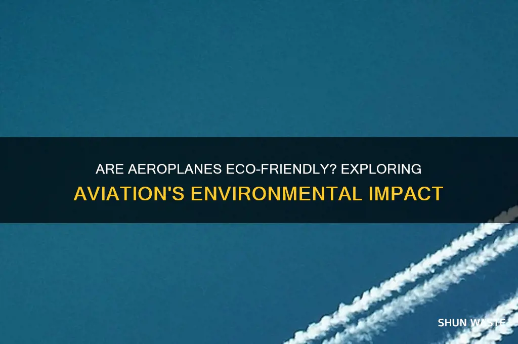Are Aeroplanes Eco-Friendly? Exploring Aviation's Environmental Impact ...