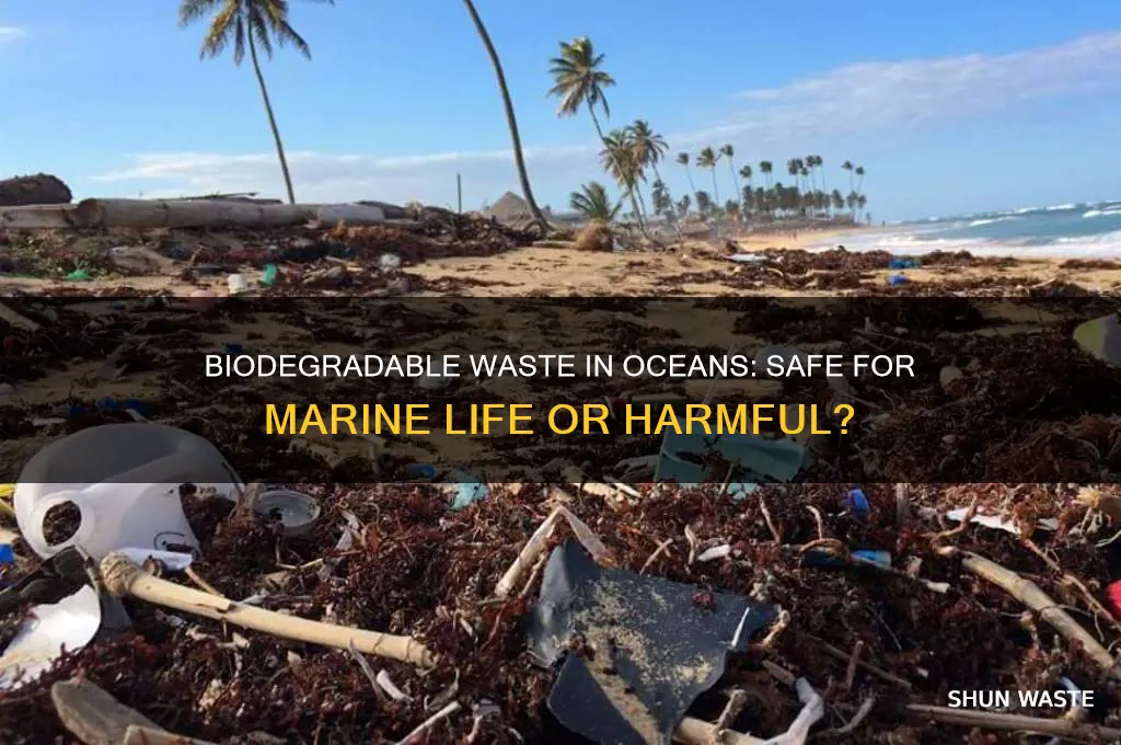 Biodegradable Waste In Oceans: Safe For Marine Life Or Harmful? | ShunWaste