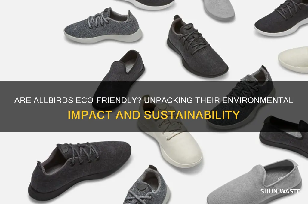 Are Allbirds Eco-Friendly? Unpacking Their Environmental Impact And ...