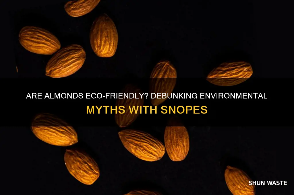 Are Almonds Eco-Friendly? Debunking Environmental Myths With Snopes ...