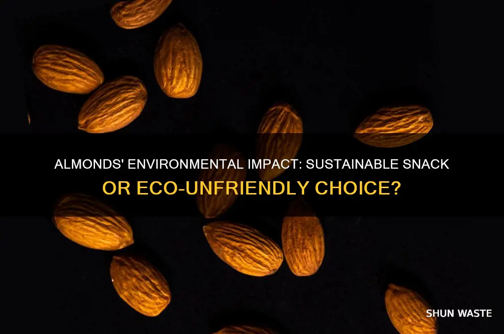 Almonds' Environmental Impact: Sustainable Snack Or Eco-Unfriendly ...