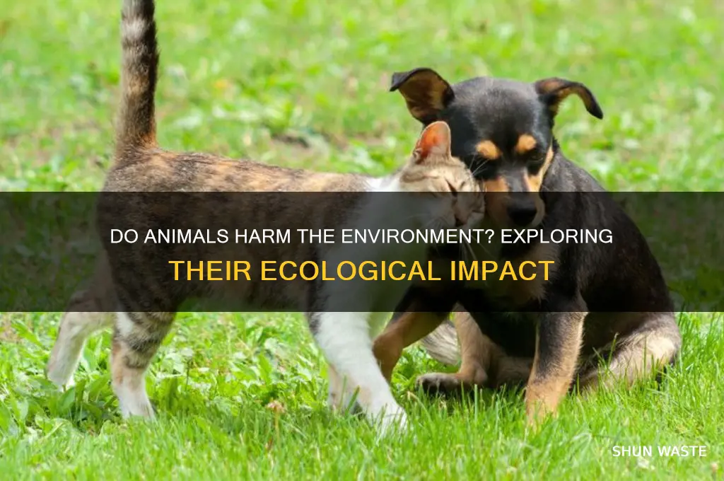 Do Animals Harm The Environment? Exploring Their Ecological Impact ...