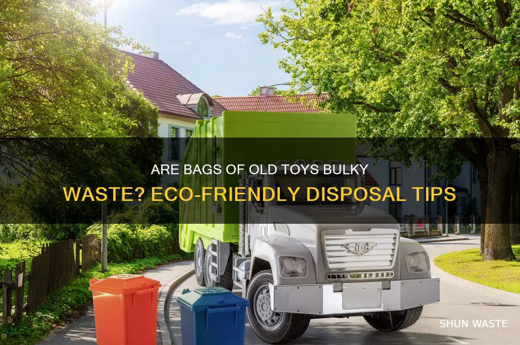 Are Bags Of Old Toys Bulky Waste? Eco-Friendly Disposal Tips | ShunWaste
