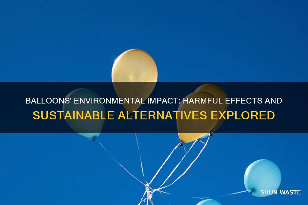 Balloons' Environmental Impact: Harmful Effects And Sustainable ...