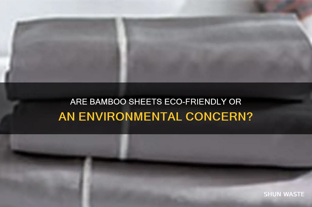 Are Bamboo Sheets Eco-Friendly Or An Environmental Concern? | ShunWaste