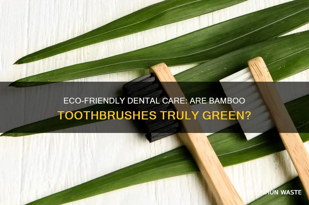 Eco-Friendly Dental Care: Are Bamboo Toothbrushes Truly Green? | ShunWaste