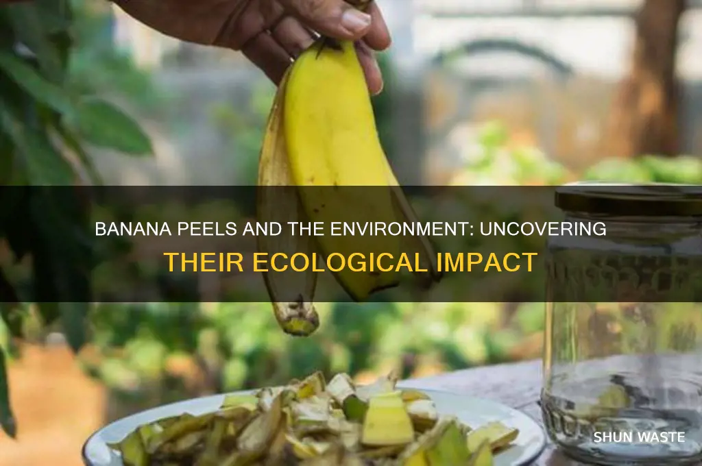 Banana Peels And The Environment: Uncovering Their Ecological Impact ...