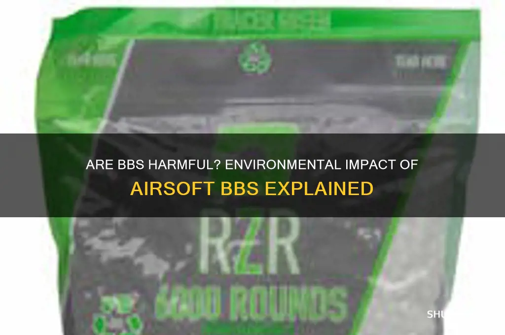Are Bbs Harmful? Environmental Impact Of Airsoft Bbs Explained | ShunWaste
