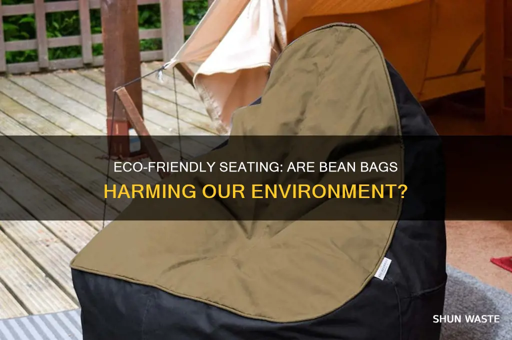 Eco-Friendly Seating: Are Bean Bags Harming Our Environment? | ShunWaste