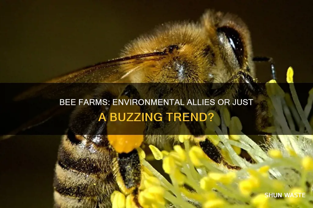 Bee Farms: Environmental Allies Or Just A Buzzing Trend? | ShunWaste
