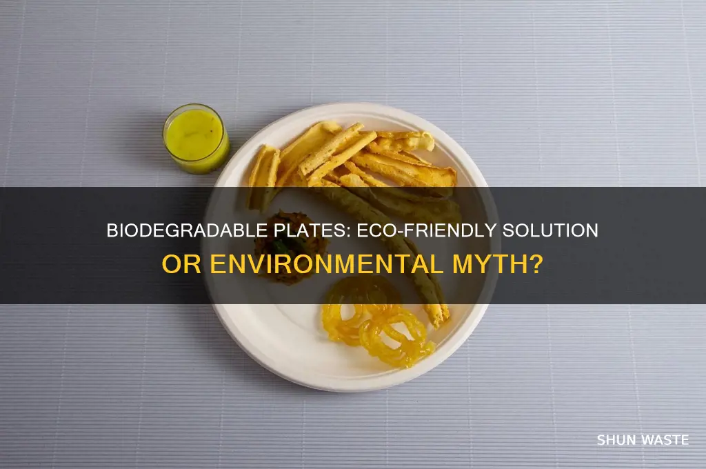Biodegradable Plates: Eco-Friendly Solution Or Environmental Myth ...