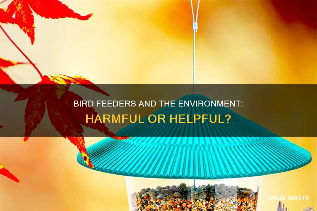 Bird Feeders And The Environment: Harmful Or Helpful? | ShunWaste