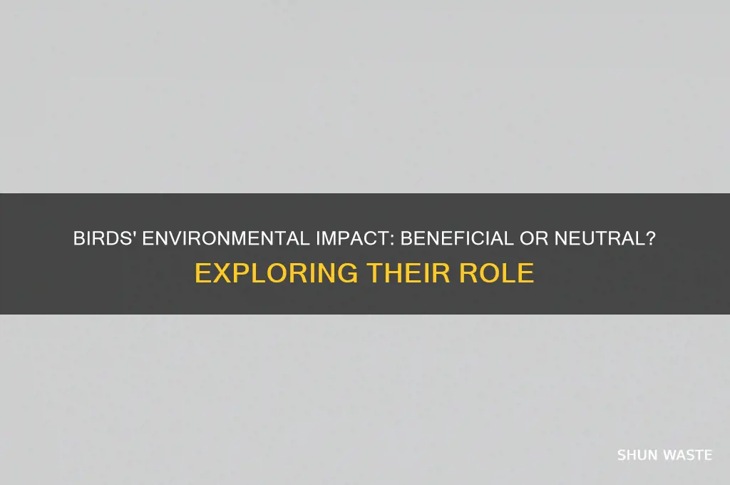 Birds' Environmental Impact: Beneficial Or Neutral? Exploring Their ...