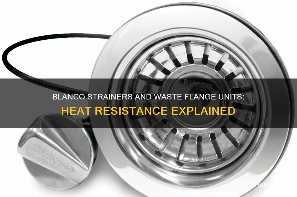 Blanco Strainers And Waste Flange Units: Heat Resistance Explained ...