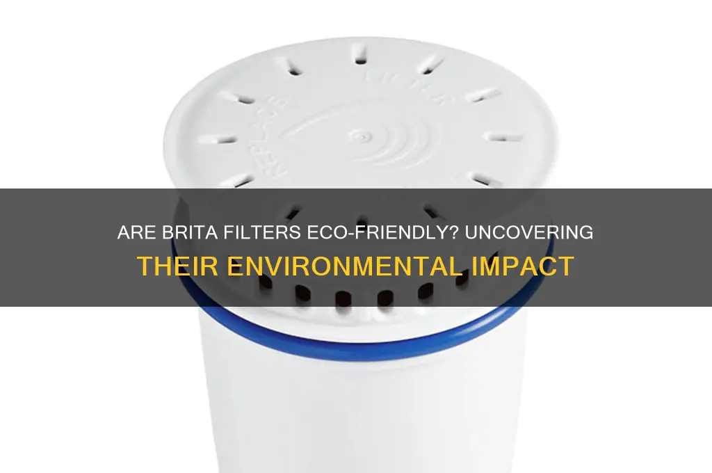 Are Brita Filters Eco-Friendly? Uncovering Their Environmental Impact ...