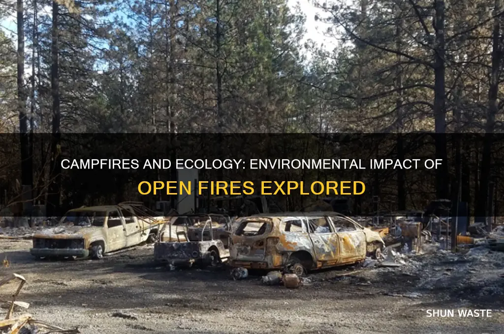 Campfires And Ecology: Environmental Impact Of Open Fires Explored ...