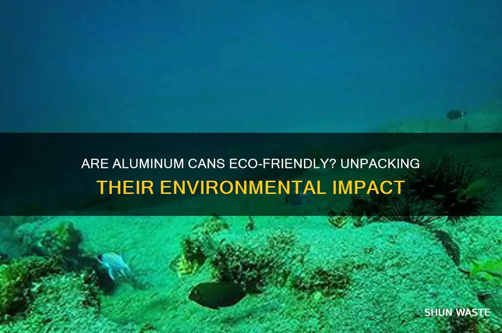Are Aluminum Cans Eco-Friendly? Unpacking Their Environmental Impact ...