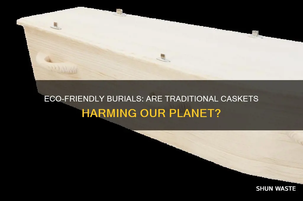 Eco-Friendly Burials: Are Traditional Caskets Harming Our Planet ...
