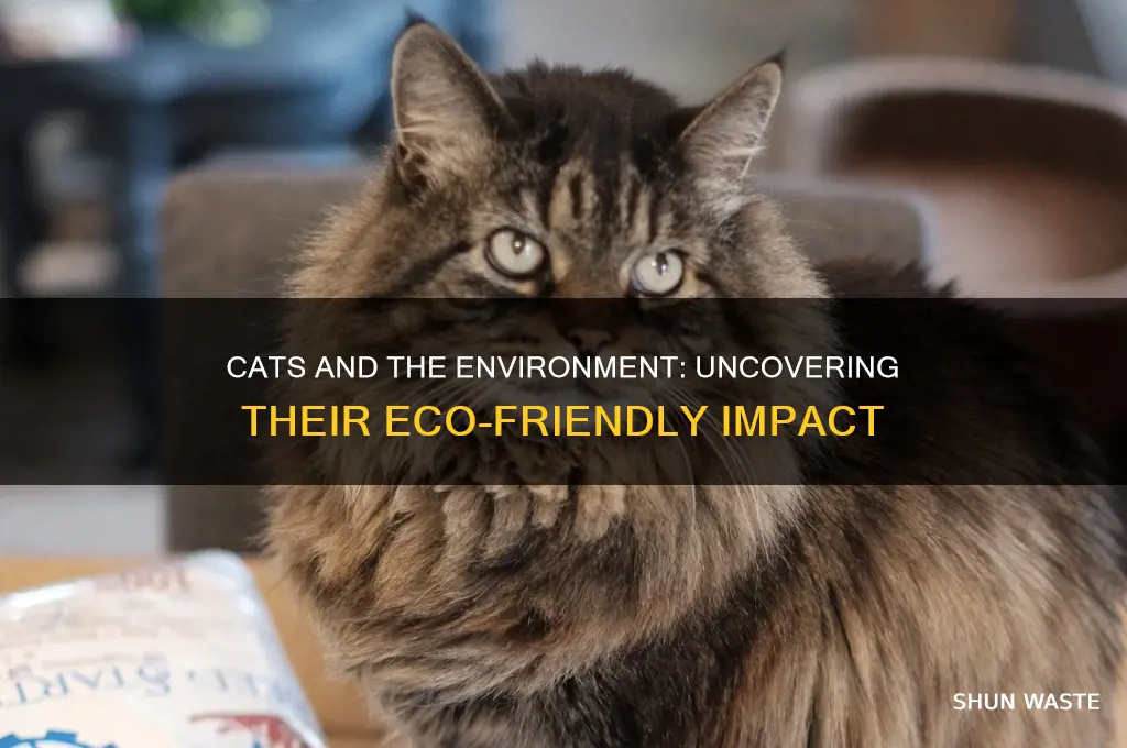 Cats And The Environment: Uncovering Their Eco-Friendly Impact | ShunWaste