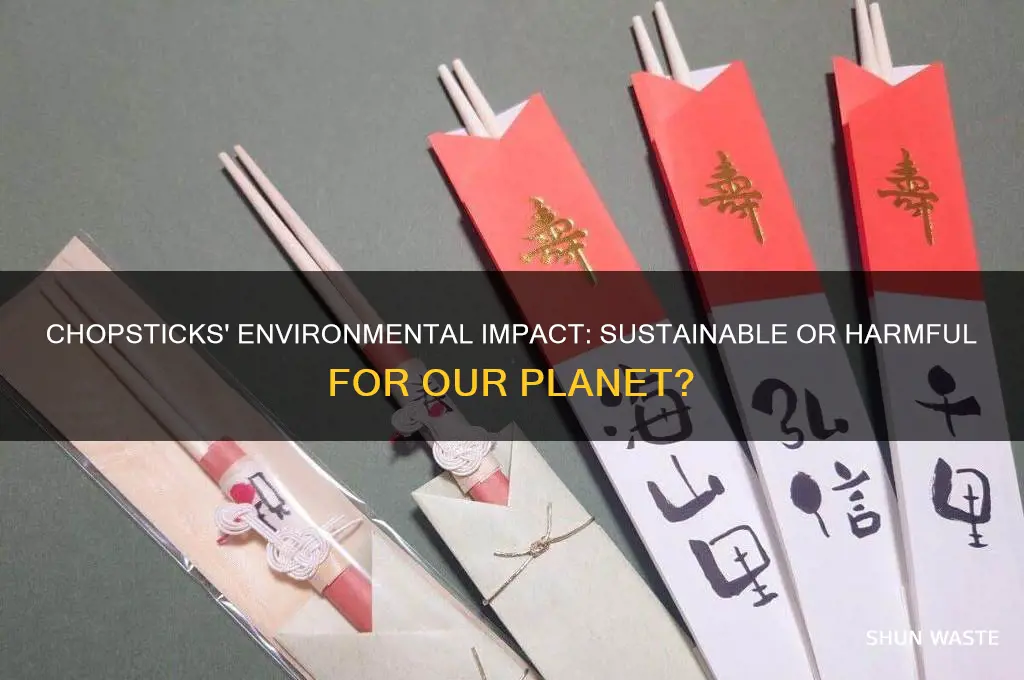 Chopsticks' Environmental Impact: Sustainable Or Harmful For Our Planet ...