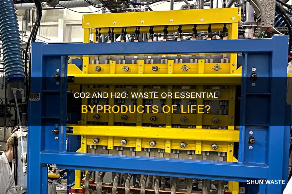 Co2 And H2o: Waste Or Essential Byproducts Of Life? | ShunWaste
