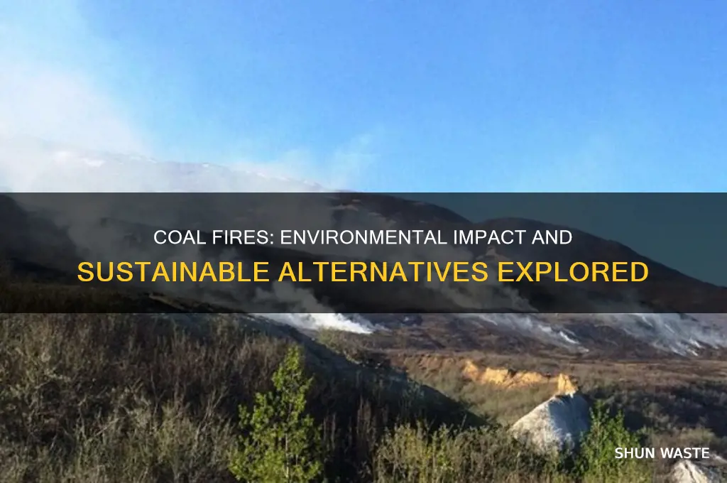 Coal Fires: Environmental Impact And Sustainable Alternatives Explored ...