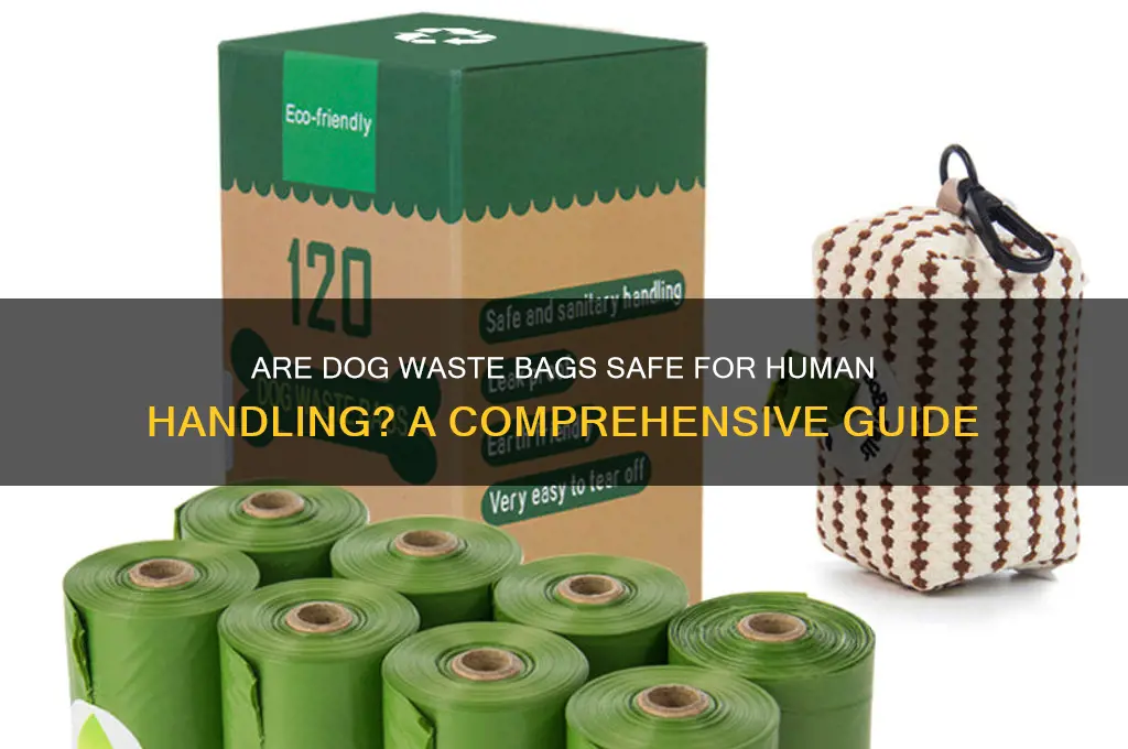 Are Dog Waste Bags Safe For Human Handling? A Comprehensive Guide ...