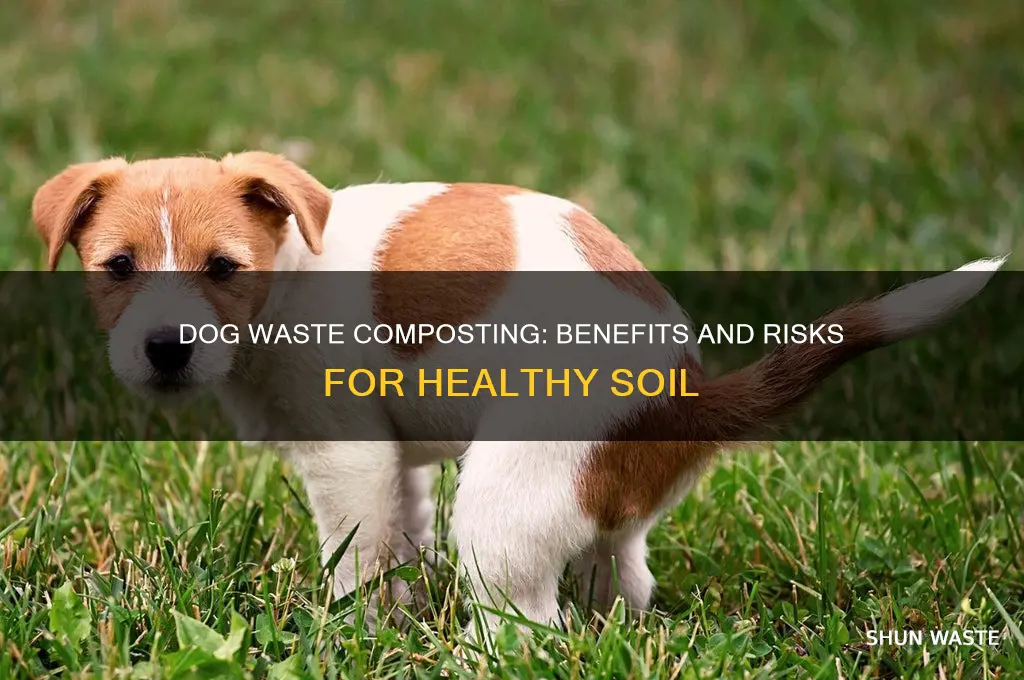 Dog Waste Composting: Benefits And Risks For Healthy Soil | ShunWaste