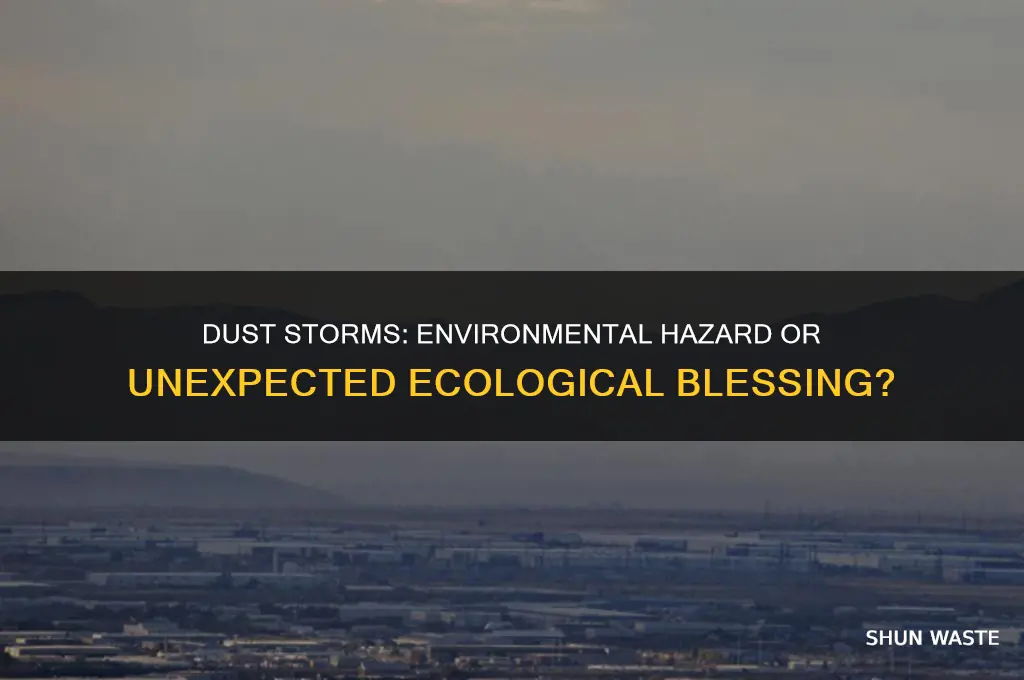 Dust Storms: Environmental Hazard Or Unexpected Ecological Blessing ...