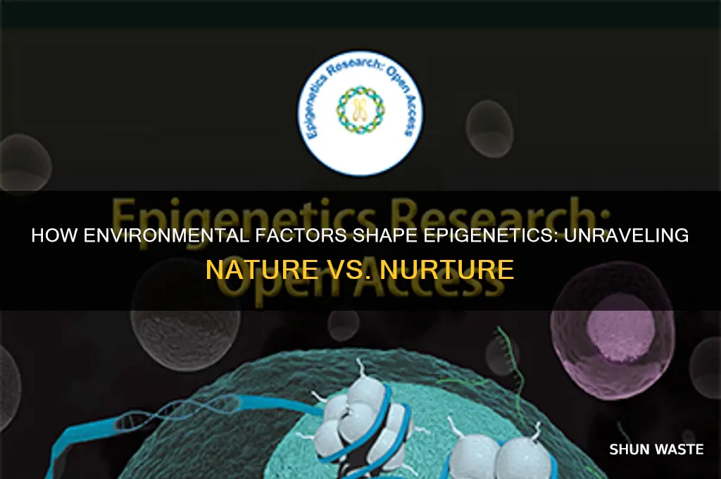 How Environmental Factors Shape Epigenetics: Unraveling Nature Vs ...