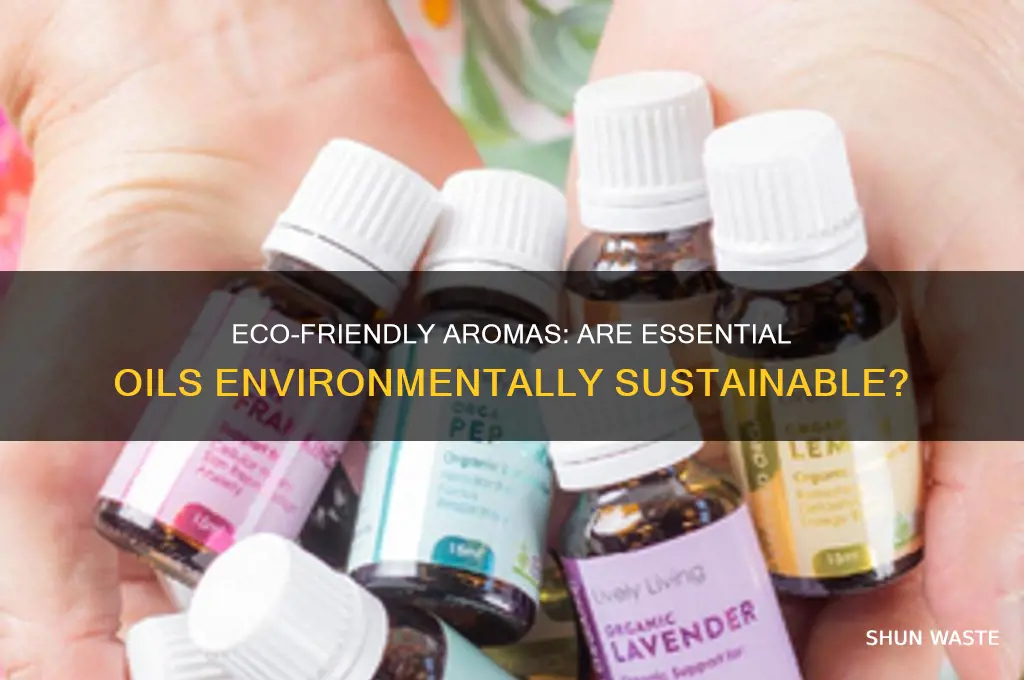 Eco-Friendly Aromas: Are Essential Oils Environmentally Sustainable ...