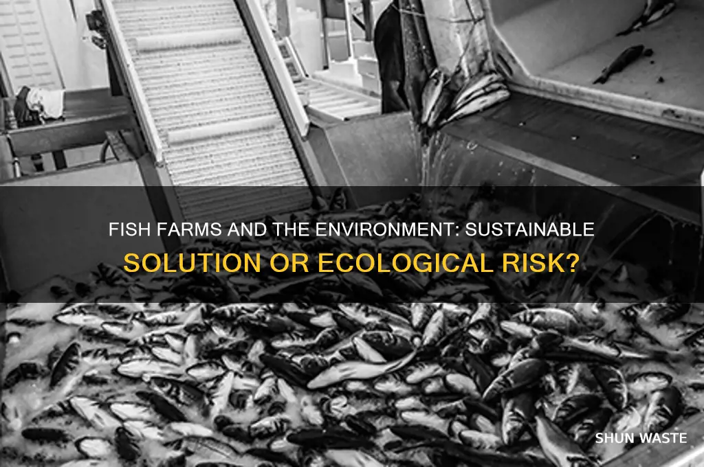 Fish Farms And The Environment: Sustainable Solution Or Ecological Risk ...