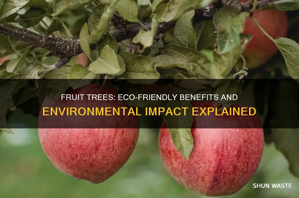 Fruit Trees: Eco-Friendly Benefits And Environmental Impact Explained ...