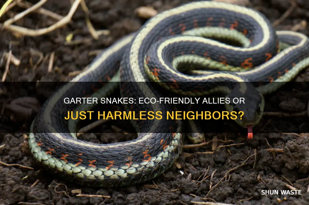 Garter Snakes: Eco-Friendly Allies Or Just Harmless Neighbors? | ShunWaste