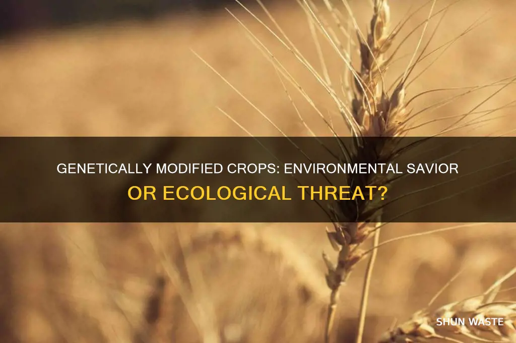 Genetically Modified Crops: Environmental Savior Or Ecological Threat ...