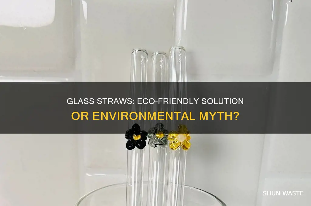 Glass Straws: Eco-Friendly Solution Or Environmental Myth? | ShunWaste