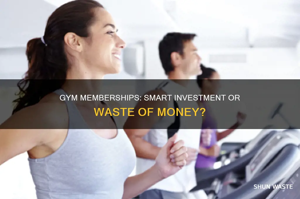 Gym Memberships: Smart Investment Or Waste Of Money? | ShunWaste