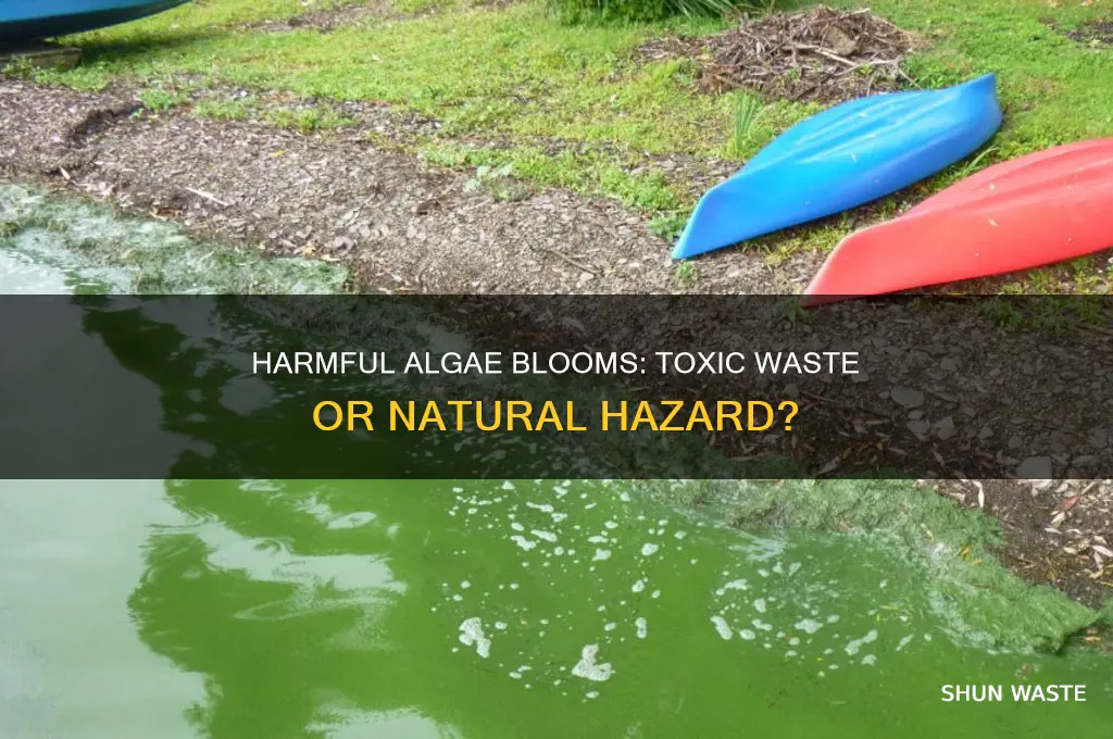 Harmful Algae Blooms: Toxic Waste Or Natural Hazard? | ShunWaste