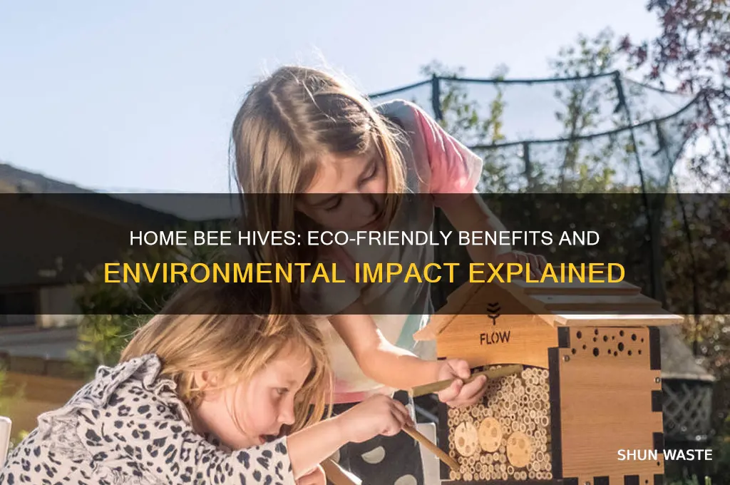 Home Bee Hives: Eco-Friendly Benefits And Environmental Impact ...