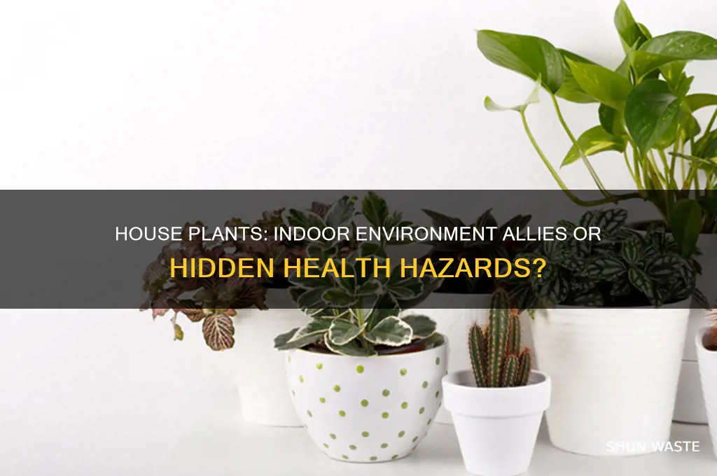 House Plants: Indoor Environment Allies Or Hidden Health Hazards ...