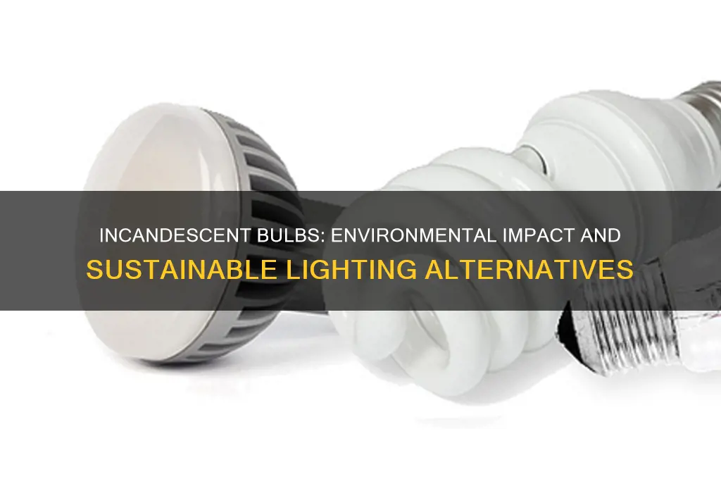 Incandescent Bulbs: Environmental Impact And Sustainable Lighting ...