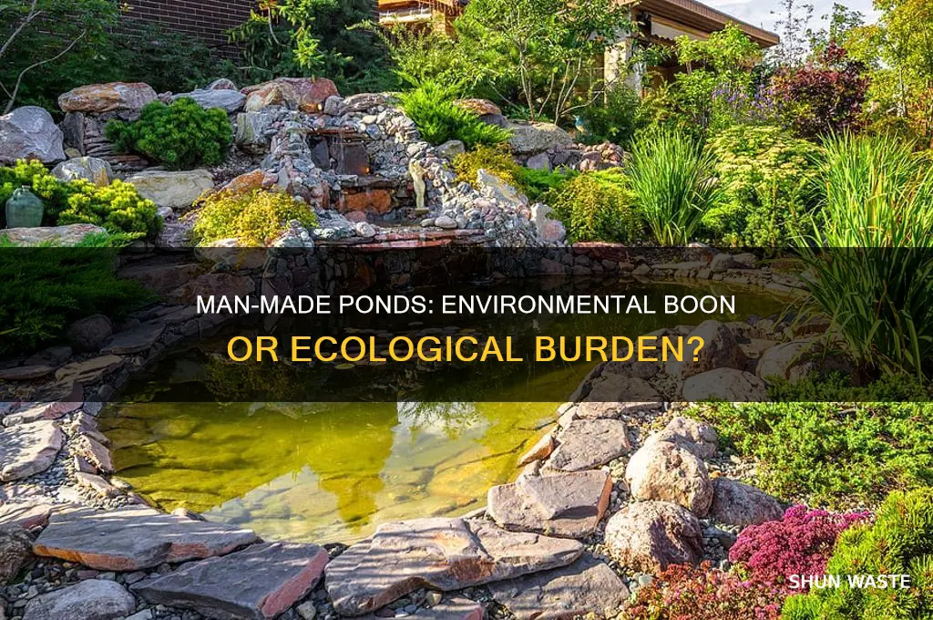 Man-Made Ponds: Environmental Boon Or Ecological Burden? | ShunWaste