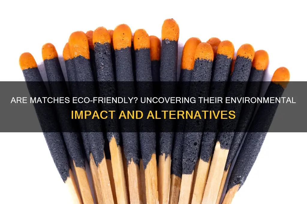 Are Matches Eco-Friendly? Uncovering Their Environmental Impact And ...