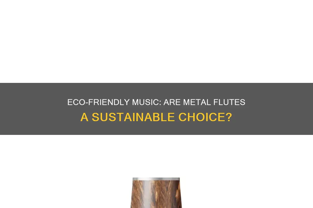 Eco-Friendly Music: Are Metal Flutes A Sustainable Choice? | ShunWaste