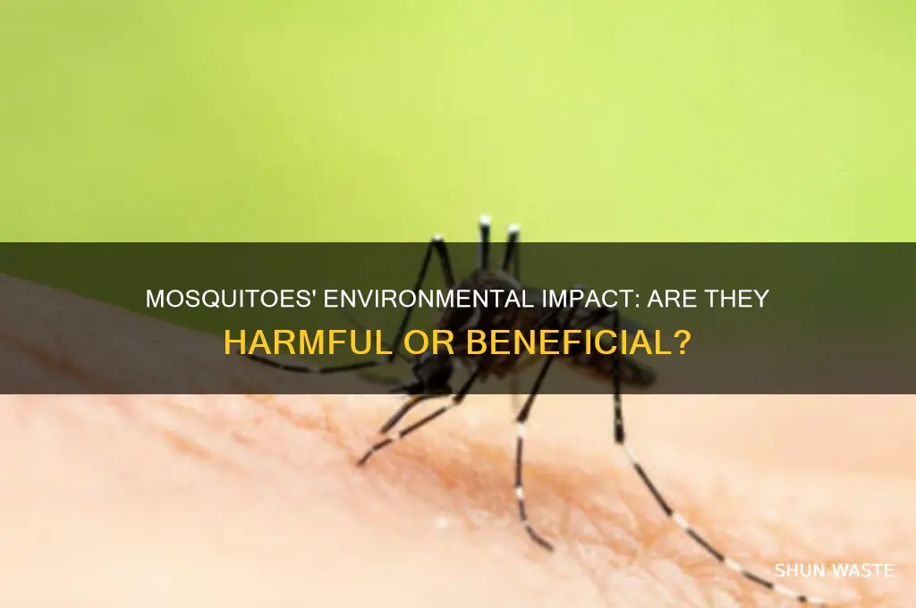 Mosquitoes' Environmental Impact: Are They Harmful Or Beneficial ...