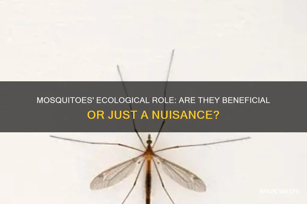 Mosquitoes' Ecological Role: Are They Beneficial Or Just A Nuisance ...