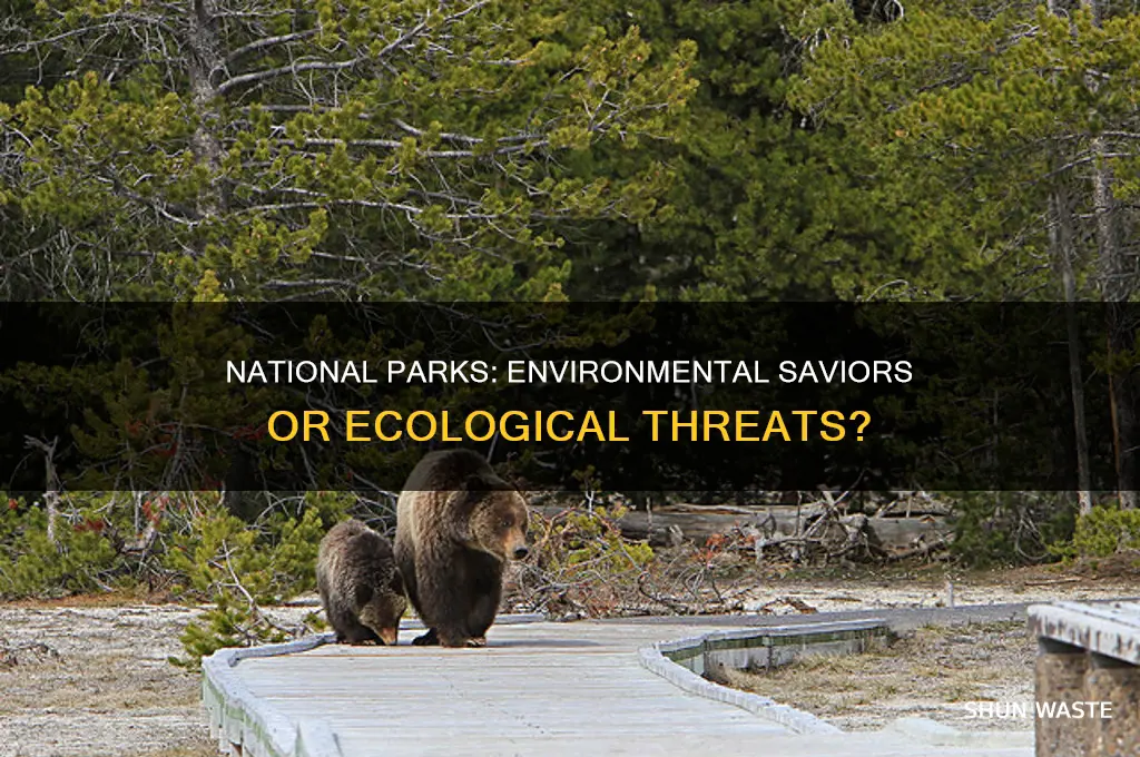 National Parks: Environmental Saviors Or Ecological Threats? | ShunWaste