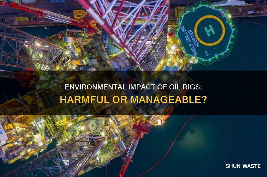 Environmental Impact Of Oil Rigs: Harmful Or Manageable? | ShunWaste