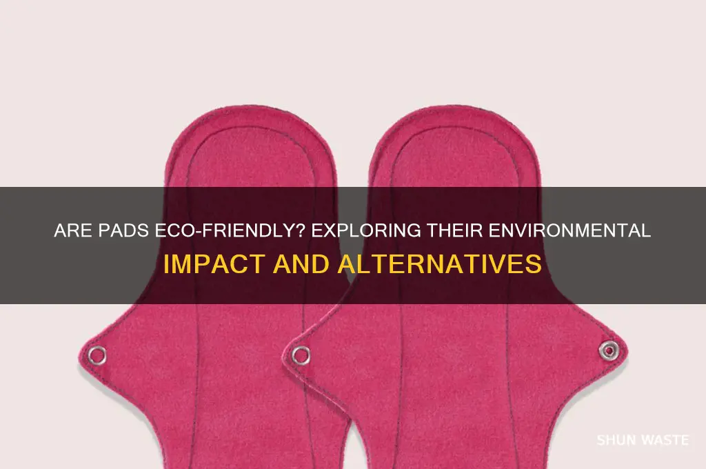 Are Pads Eco-Friendly? Exploring Their Environmental Impact And ...